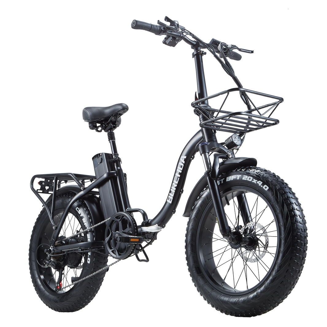 BURCHDA Official Store | Fat-tire Powerful Mountain Electric Bikes ...